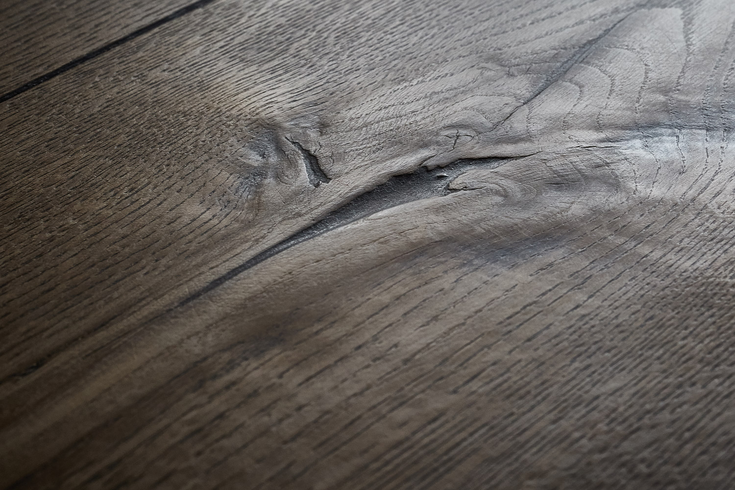 Surface — Schotten & Hansen