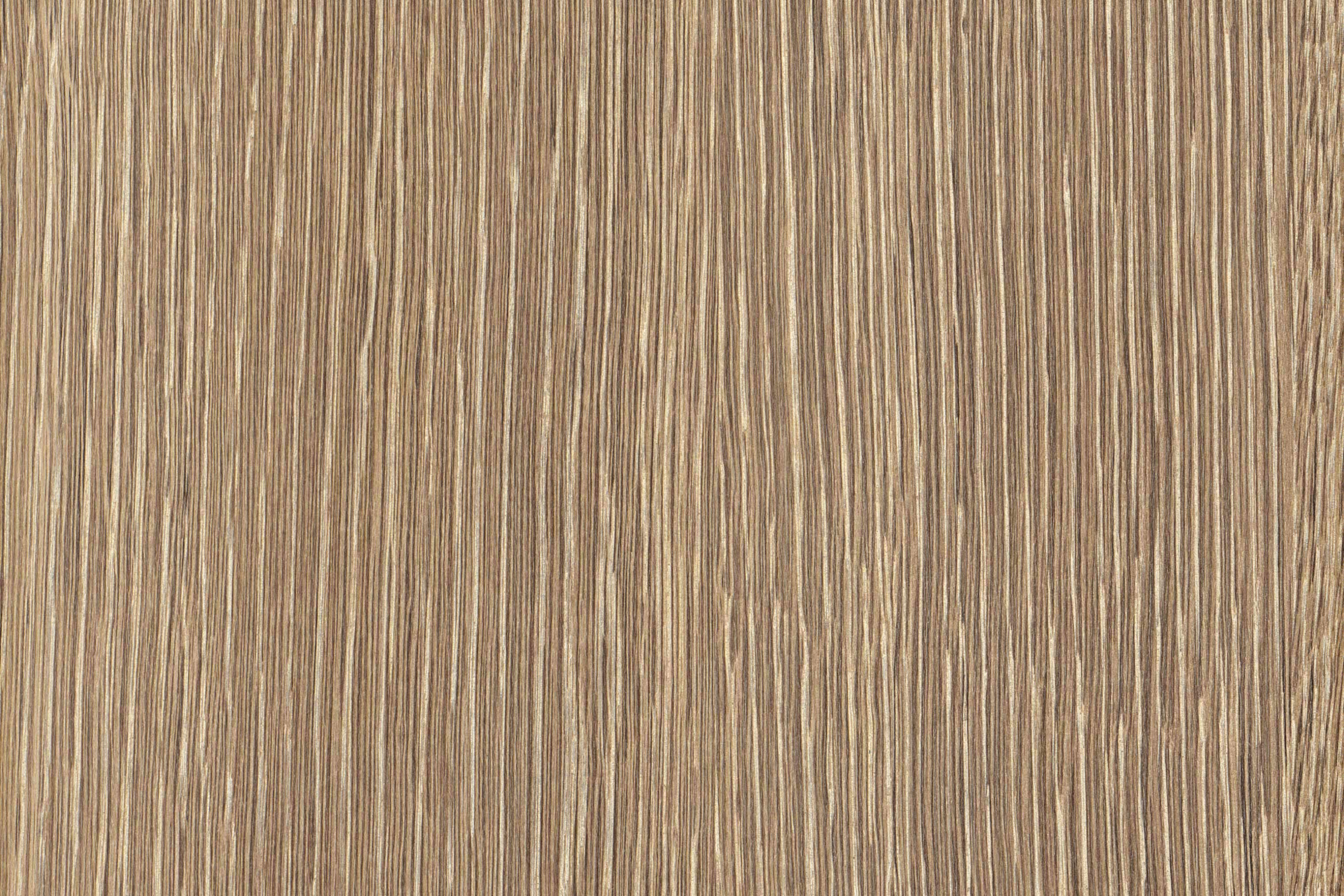 Floor Colour — Schotten & Hansen