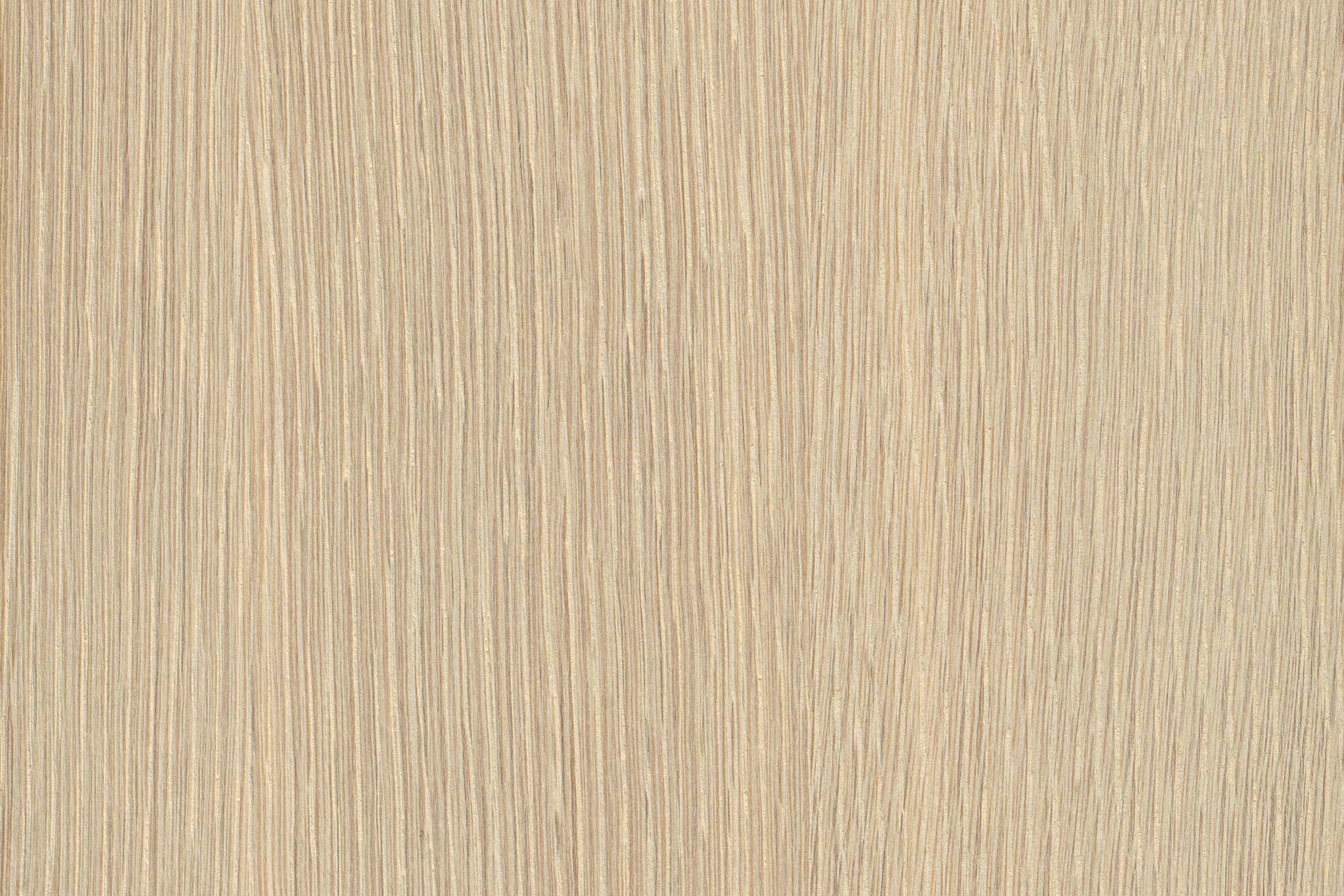Floor Colour — Schotten & Hansen