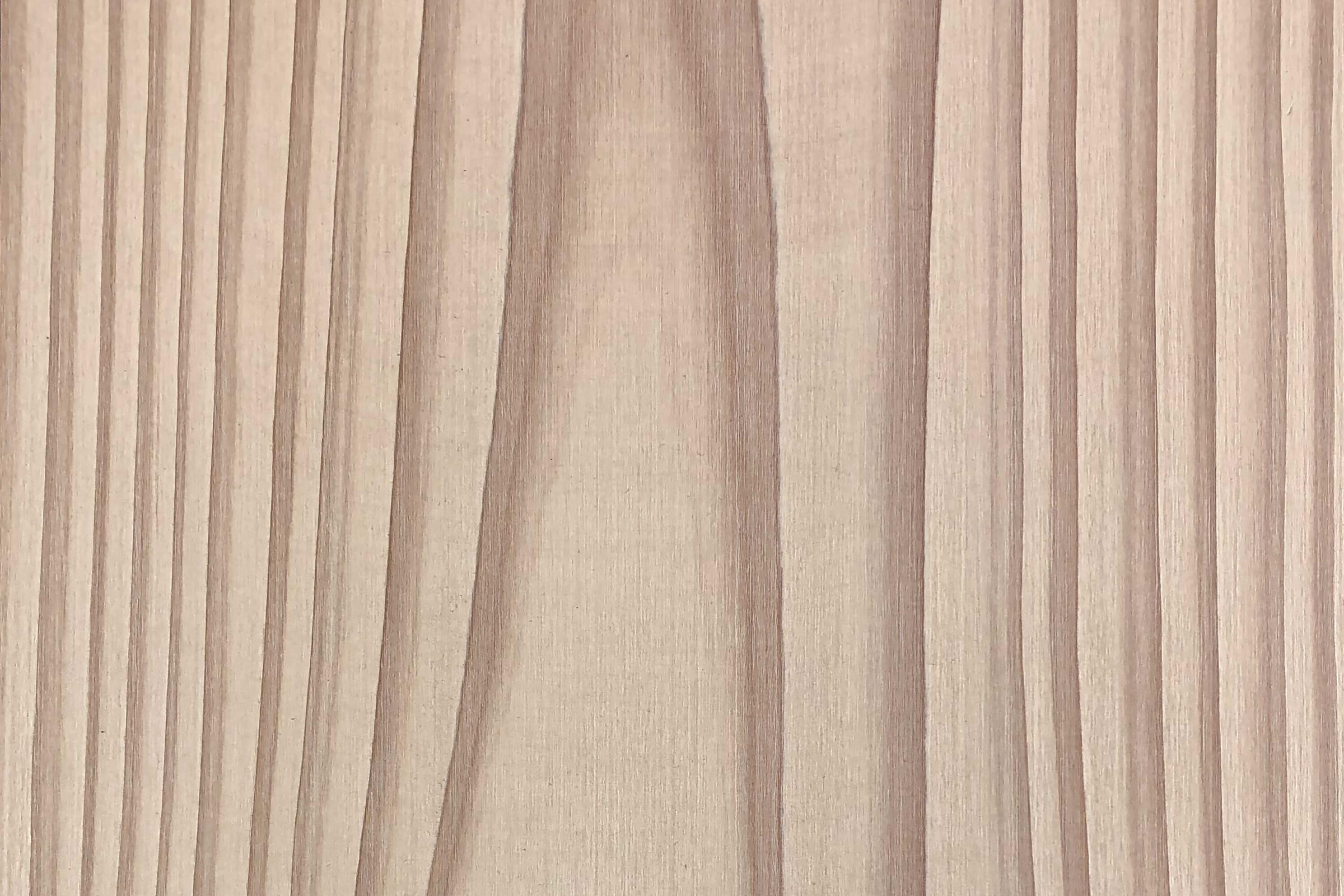 Douglas Cathedral — Floor — Schotten & Hansen